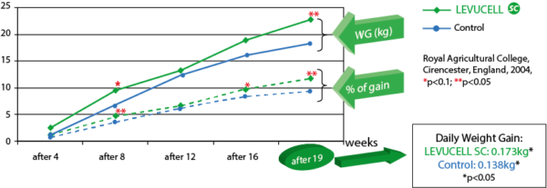 Probiotic Yeast for Equine Digestive Health – LEVUCELL SC | LALPROBIOME