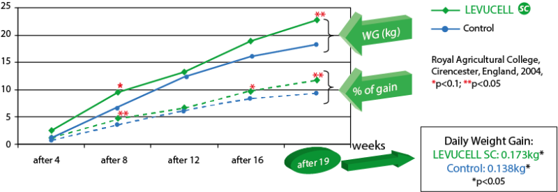 Probiotic Yeast for Equine Digestive Health – LEVUCELL SC | LALPROBIOME